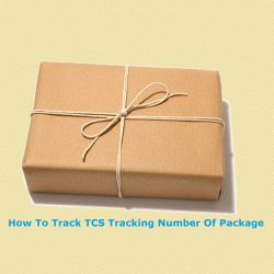 How To Track TCS Tracking Number Of Package